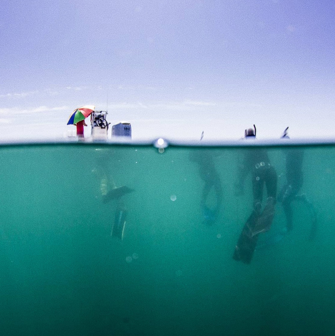 Freediver. Photographer. Filmmaker. Janna Nadjejda. | Vanilla Sand